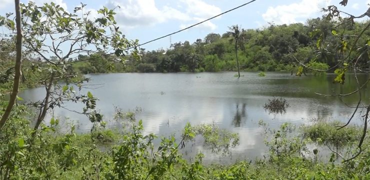 Fenomena Alam “Danau Baru” di Kupang, Simak Penjelasan Ilmiah Ahli ...